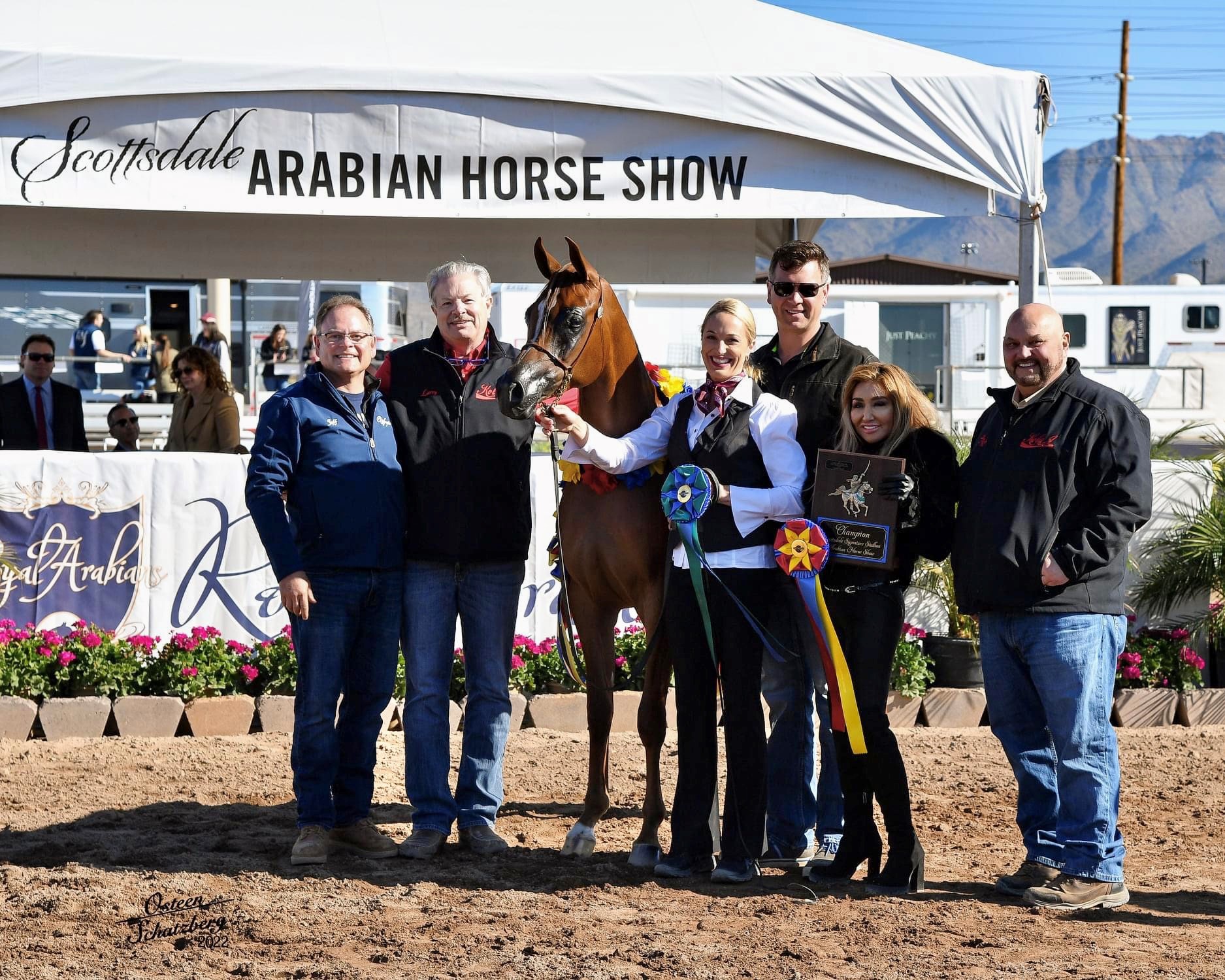 Rae-Dawn Arabians